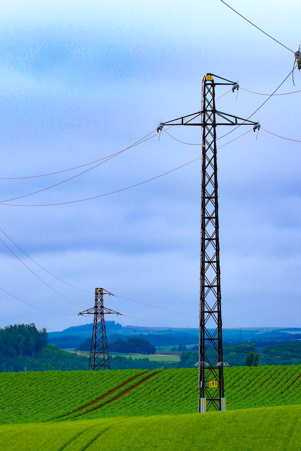 Helping your city reach carbon-neutrality (webinar) & electrifying ...